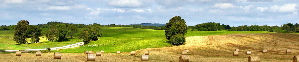 Développer son activité agricole